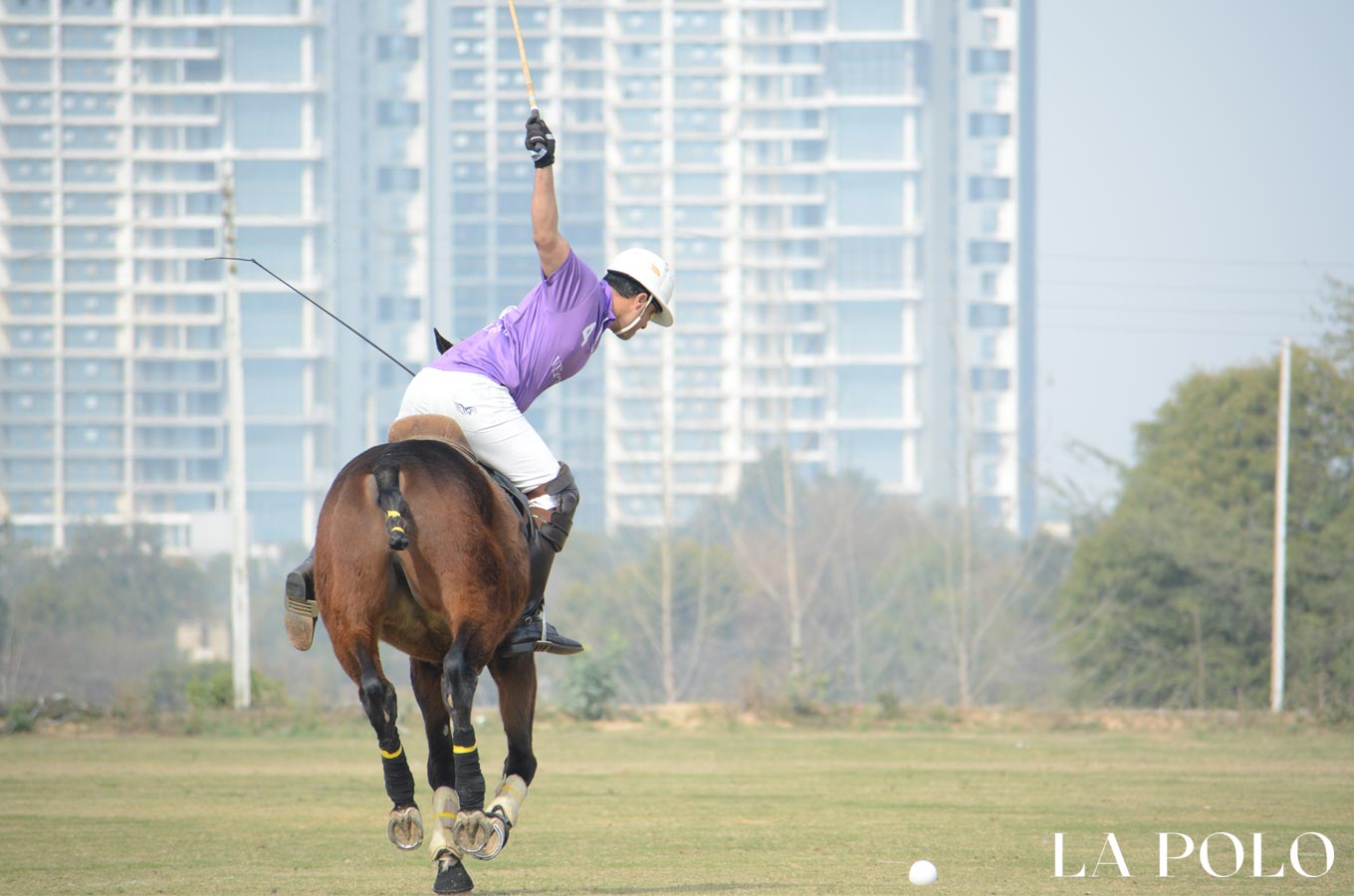 The Brown Saheb -Polo In The Park