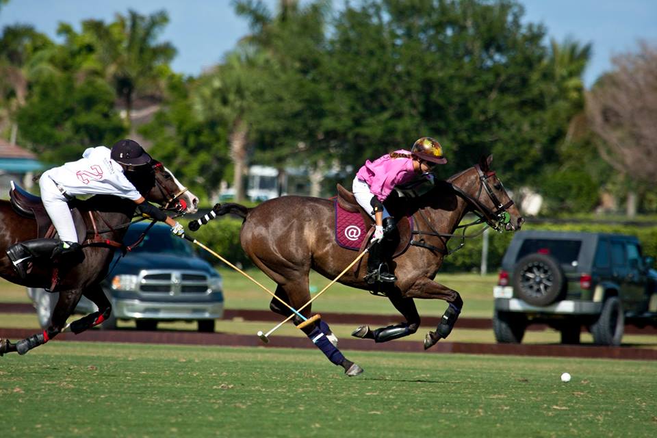 Sunny Hale’s Legacy WCT Final Tournament