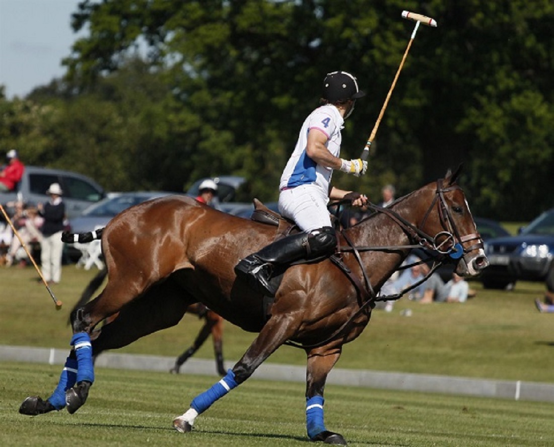 Cowdray Park Polo Club | Argentine Ambassador Cup | LA POLO