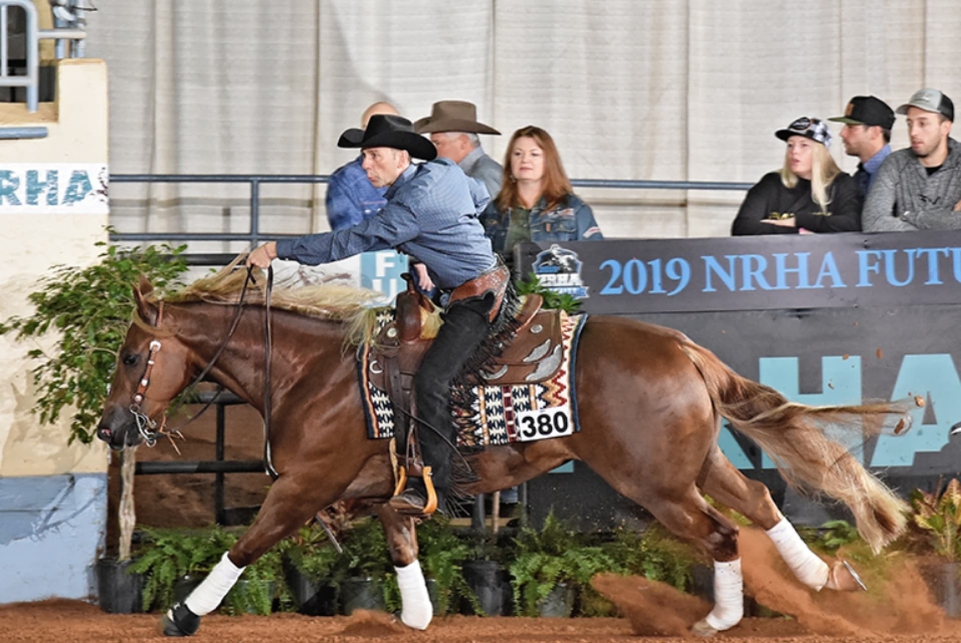 The 156th edition of LA POLO'S digital magazine is out